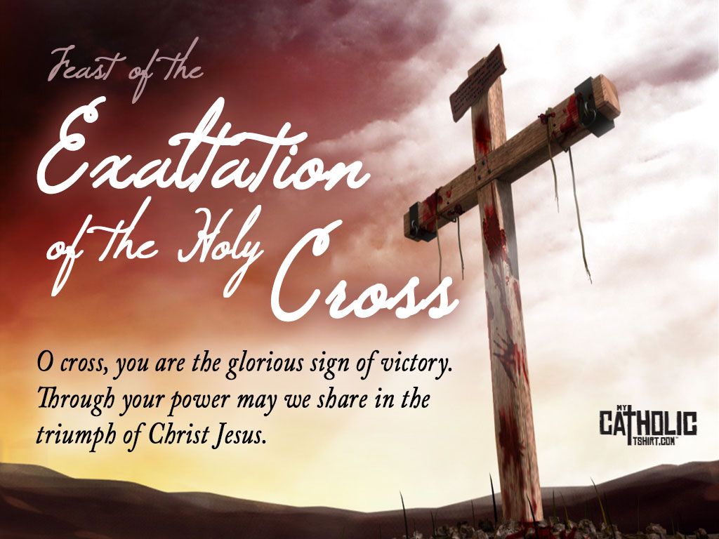 Weekly Bulletin – St Anthony Maronite Church